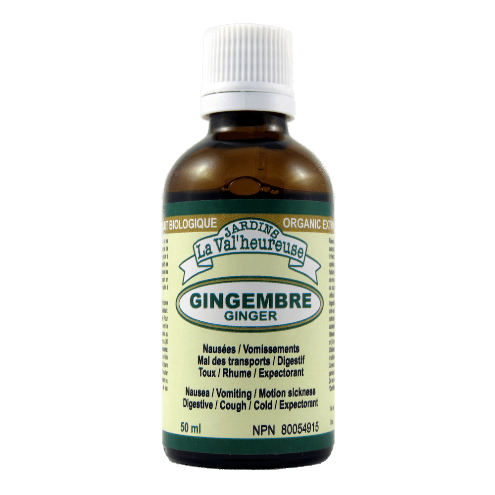 Gingembre - Jardins LVH - Unytii PRO - Supplements